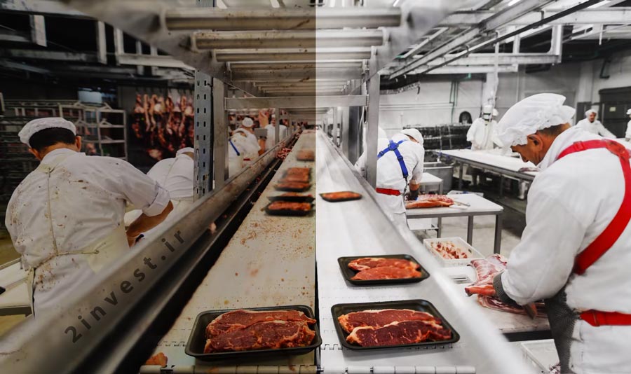 طرح توجیهی فرآوری و بسته بندی گوشت قرمز 🥩 مجوز + وام بانکی