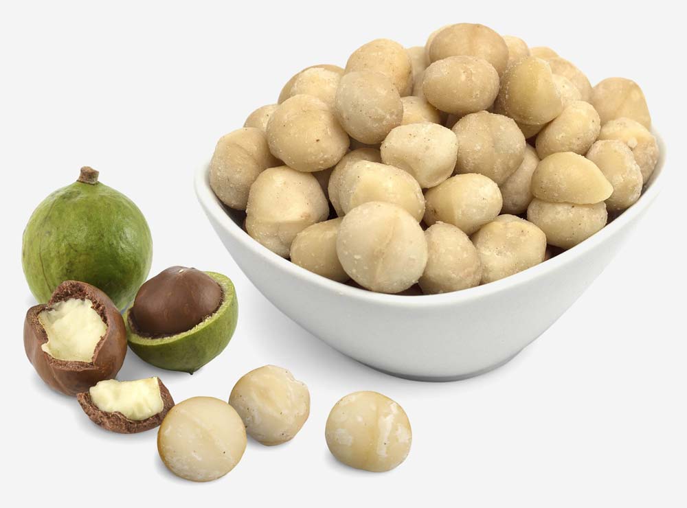 طرح توجیهی کاشت و بسته بندی گیاه ماکادمیا | گرانترین خشکبار جهان